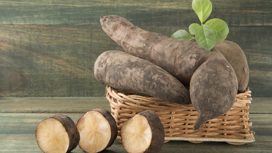 Seis razones por las que debes incluir el yacón en tu alimentación | TVPerú